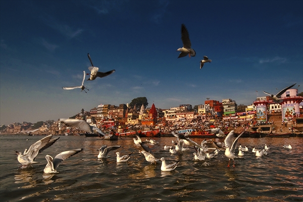 国際フィルタｰフォトコンテスト佳作